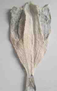 Haddock Ambassade – Northern Fish Codfish